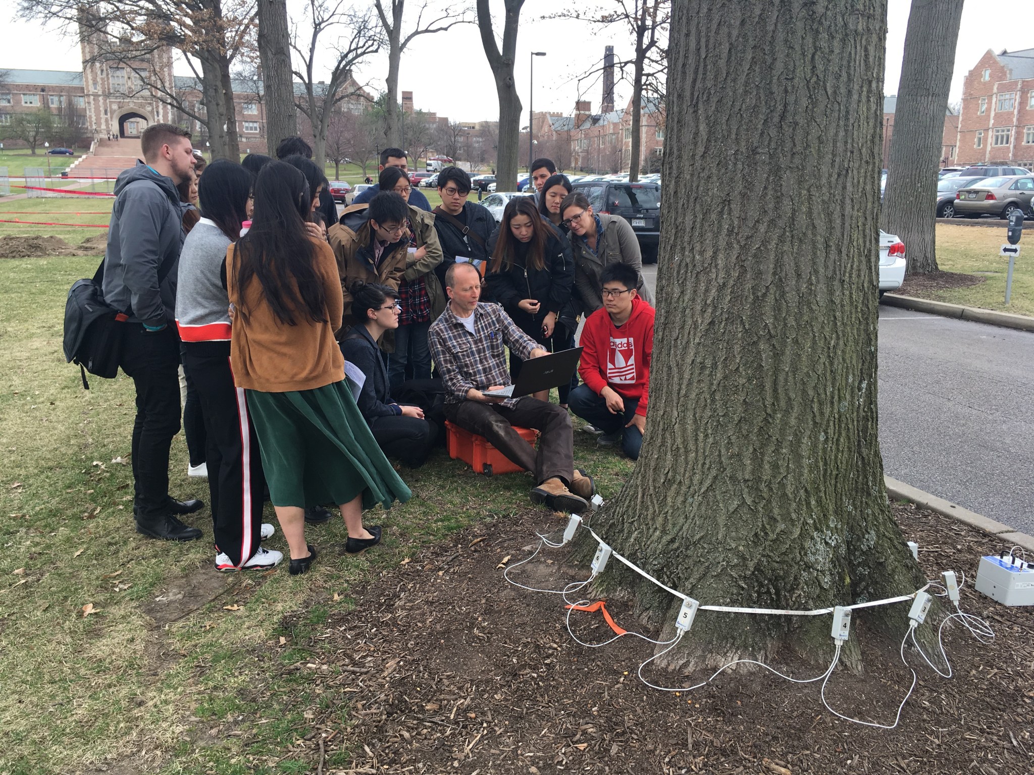 Tree Sounding – The One Tree Project