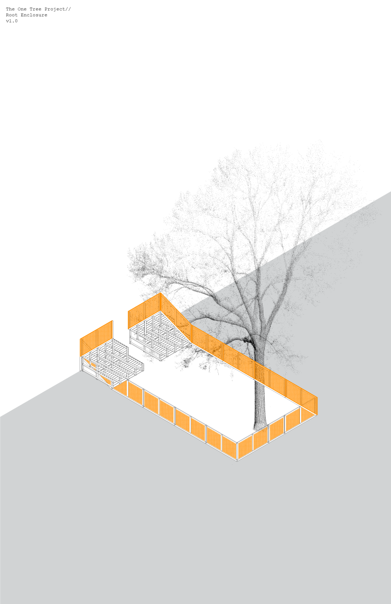 Worm’s Eye View – The One Tree Project