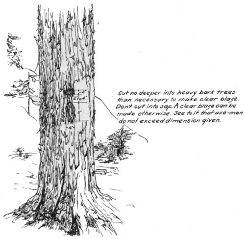 fig25_forest service – The One Tree Project