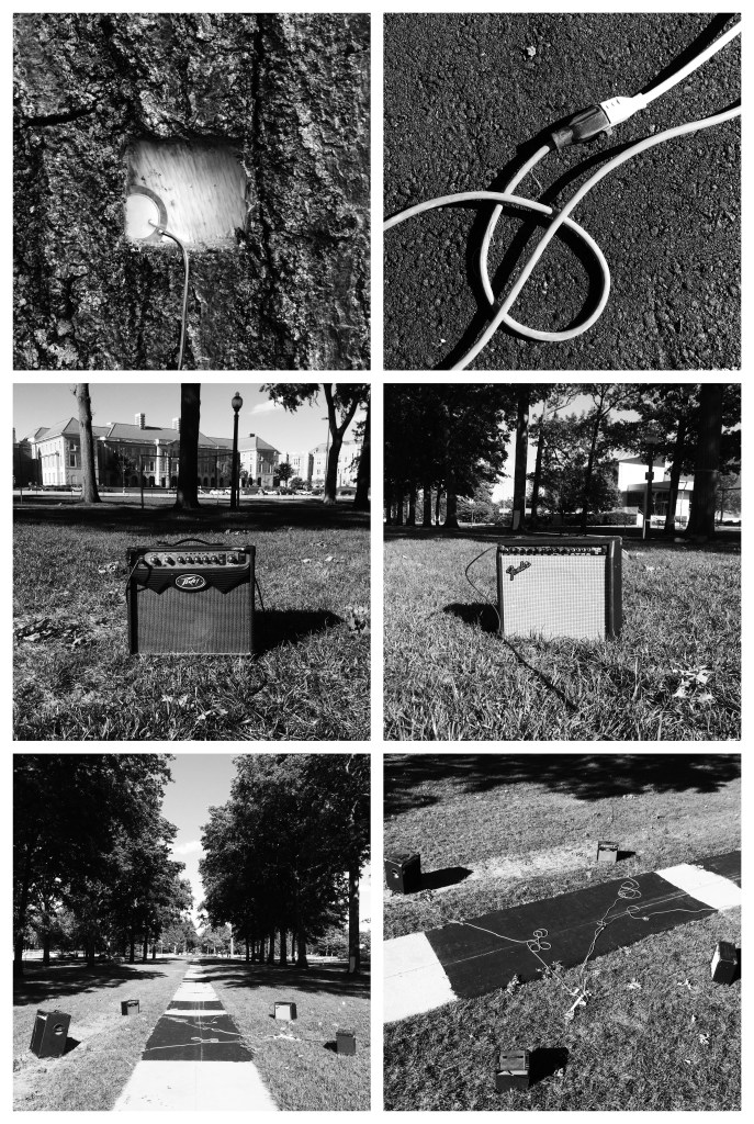 The One Tree Project – An interdisciplinary Landscape Architecture ...